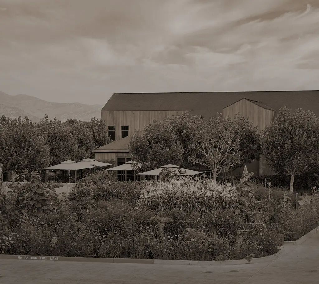 Cakebread Cellars History