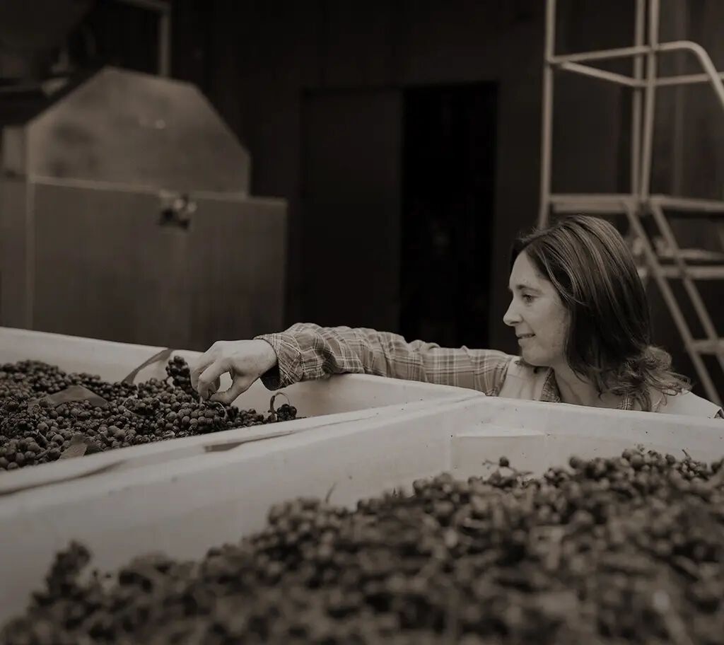 Cakebread Cellars History