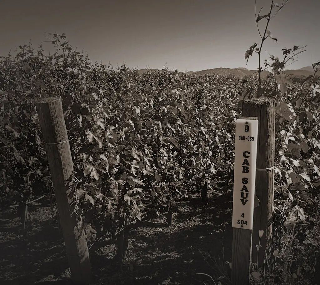 Cakebread Cellars History