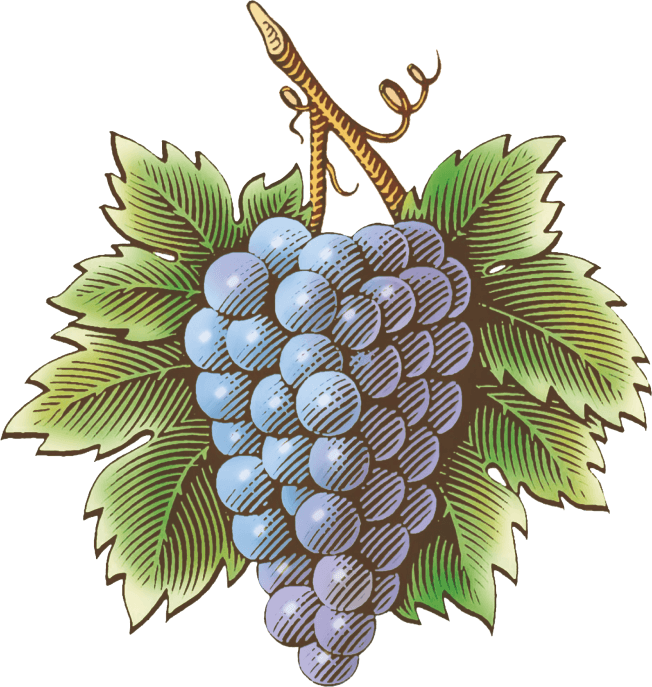 Find amazing products in Winery Exclusives' today | Cakebread Cellars